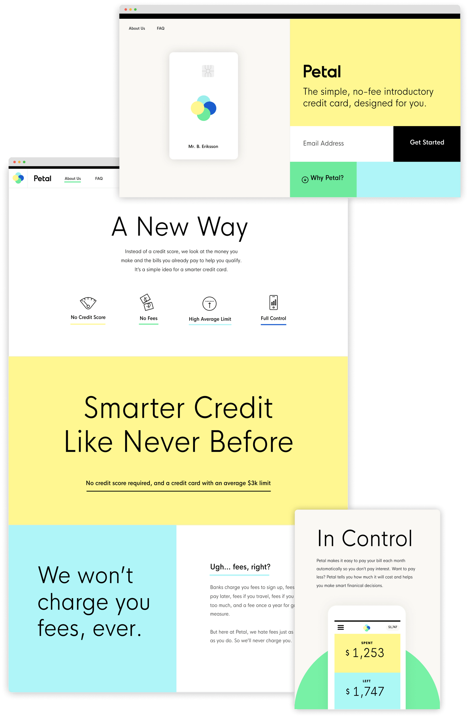 Petal Brand & Credit Card Design by David McGillivray Copy