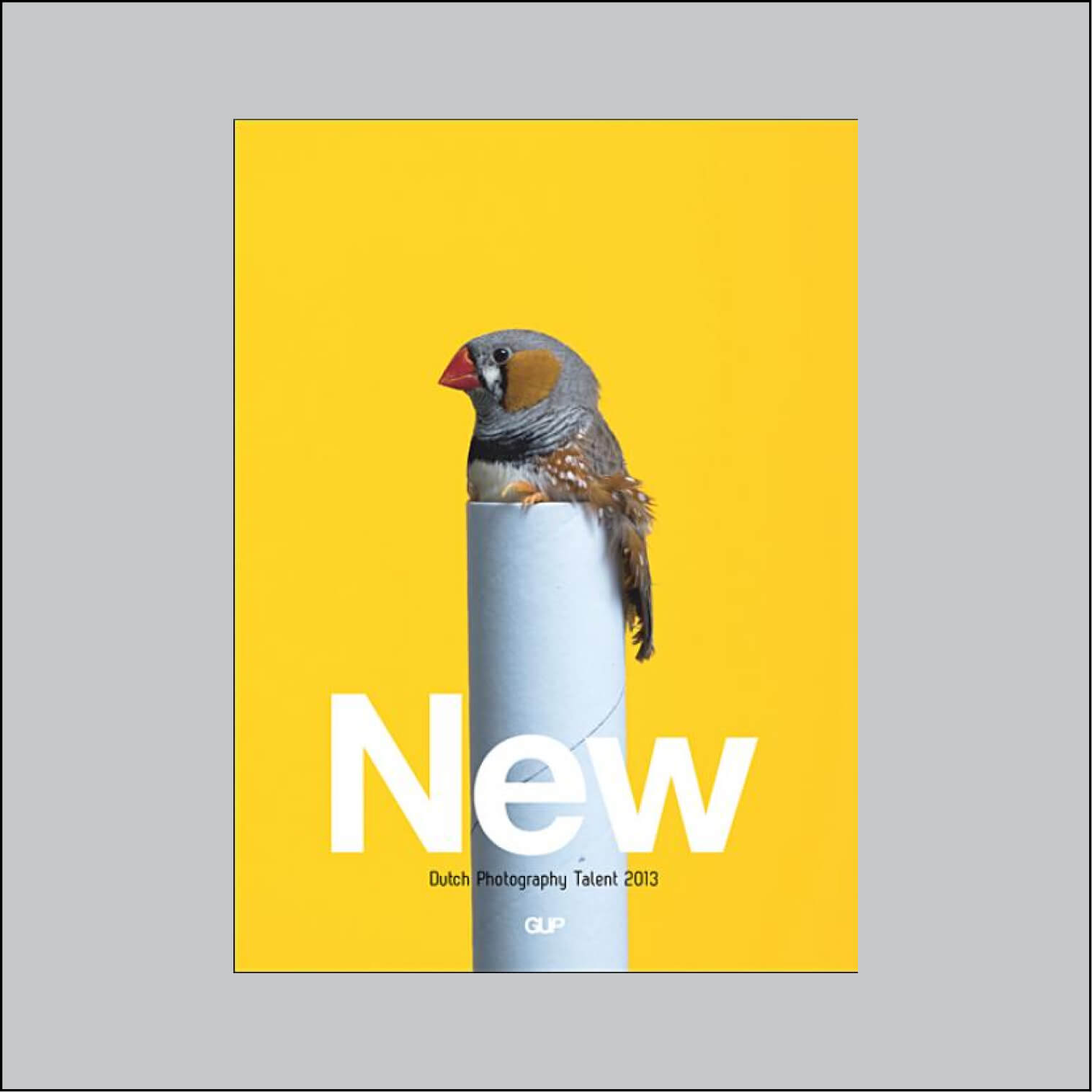 What is visual hierarchy in design? (Explained with examples)