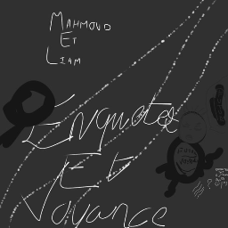 Mahmoud et Liam - Webflow