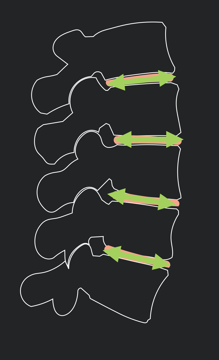 Neutral Spine: How to Deadlift and Squat Without Hurting Your Back ...