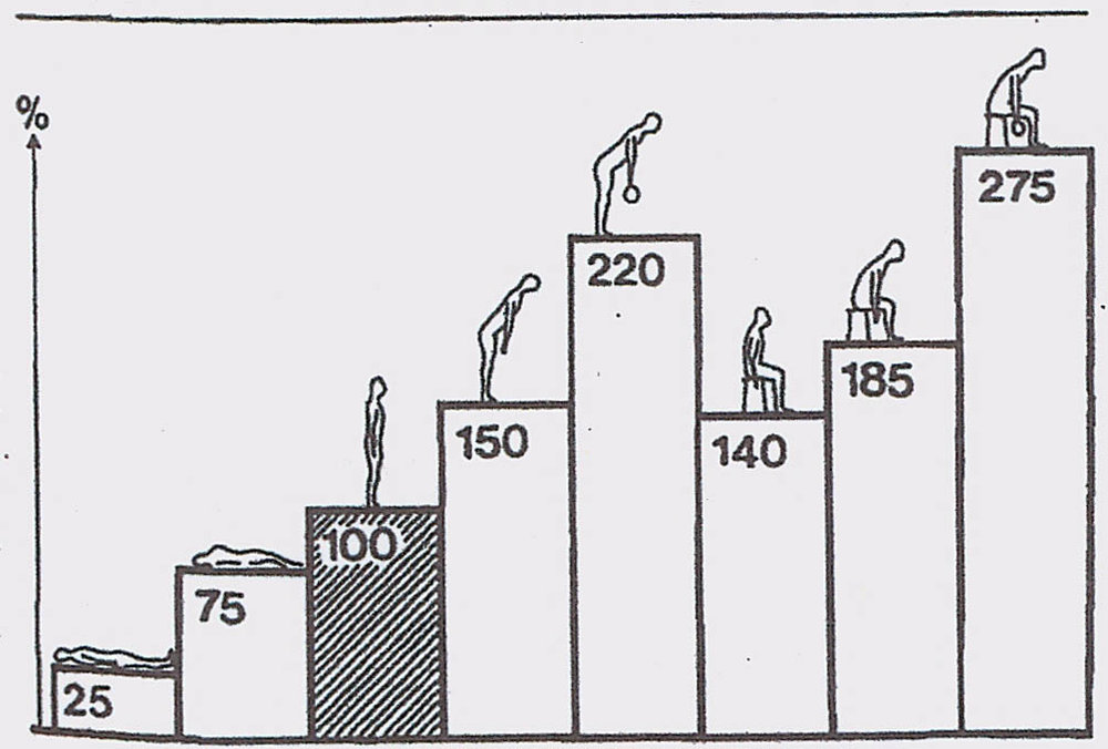 Biomechanics of the spine - posture, forces and structures | Core Advantage