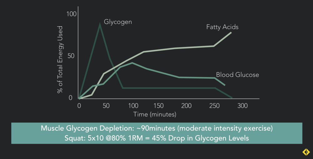 What is Fatigue? Causes of Fatigue | Core Advantage