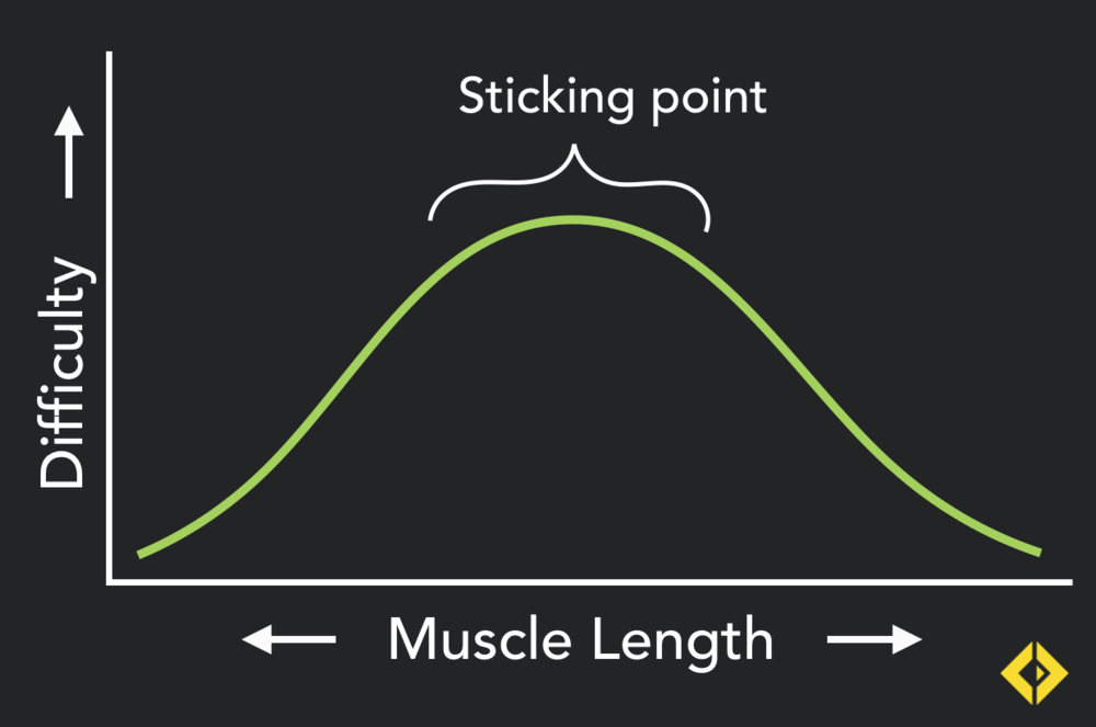 Isometrics: A powerful workout tool to increase strength and rehab ...