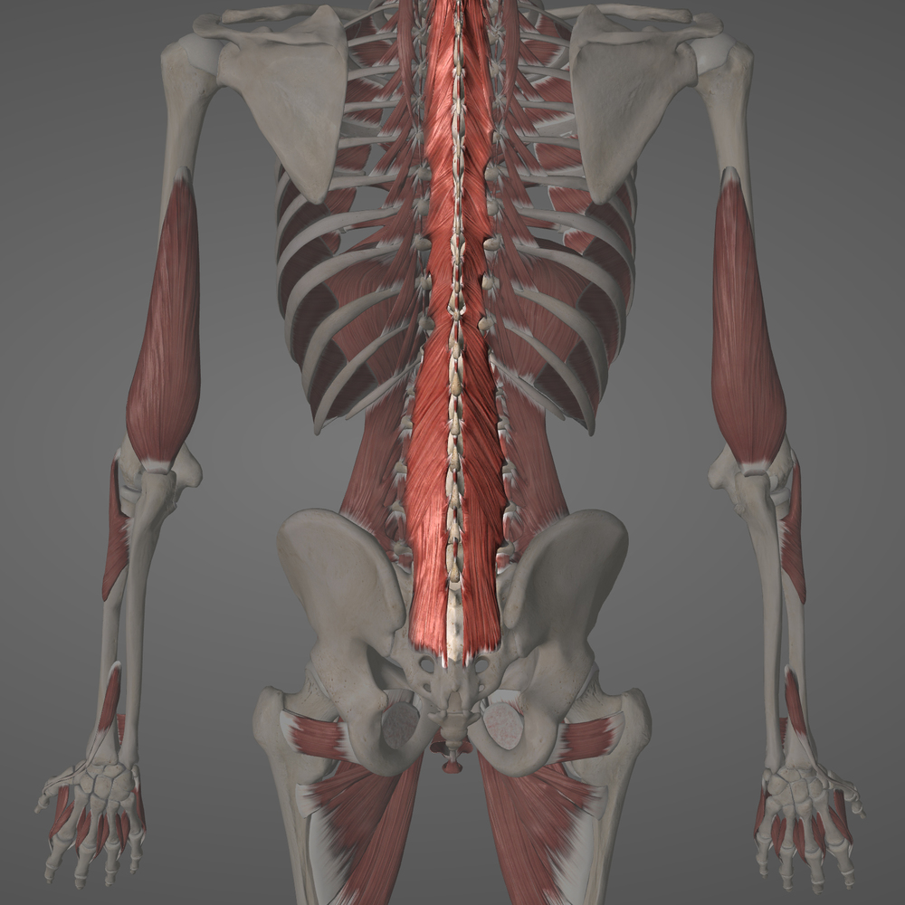 Training the core for performance | Core Advantage