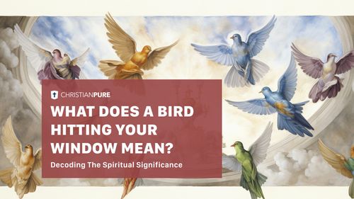 What Does a Bird Hitting Your Window Mean? Decoding the Spiritual ...