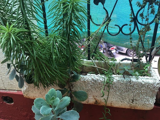 Top 20 Ways To Reuse Styrofoam