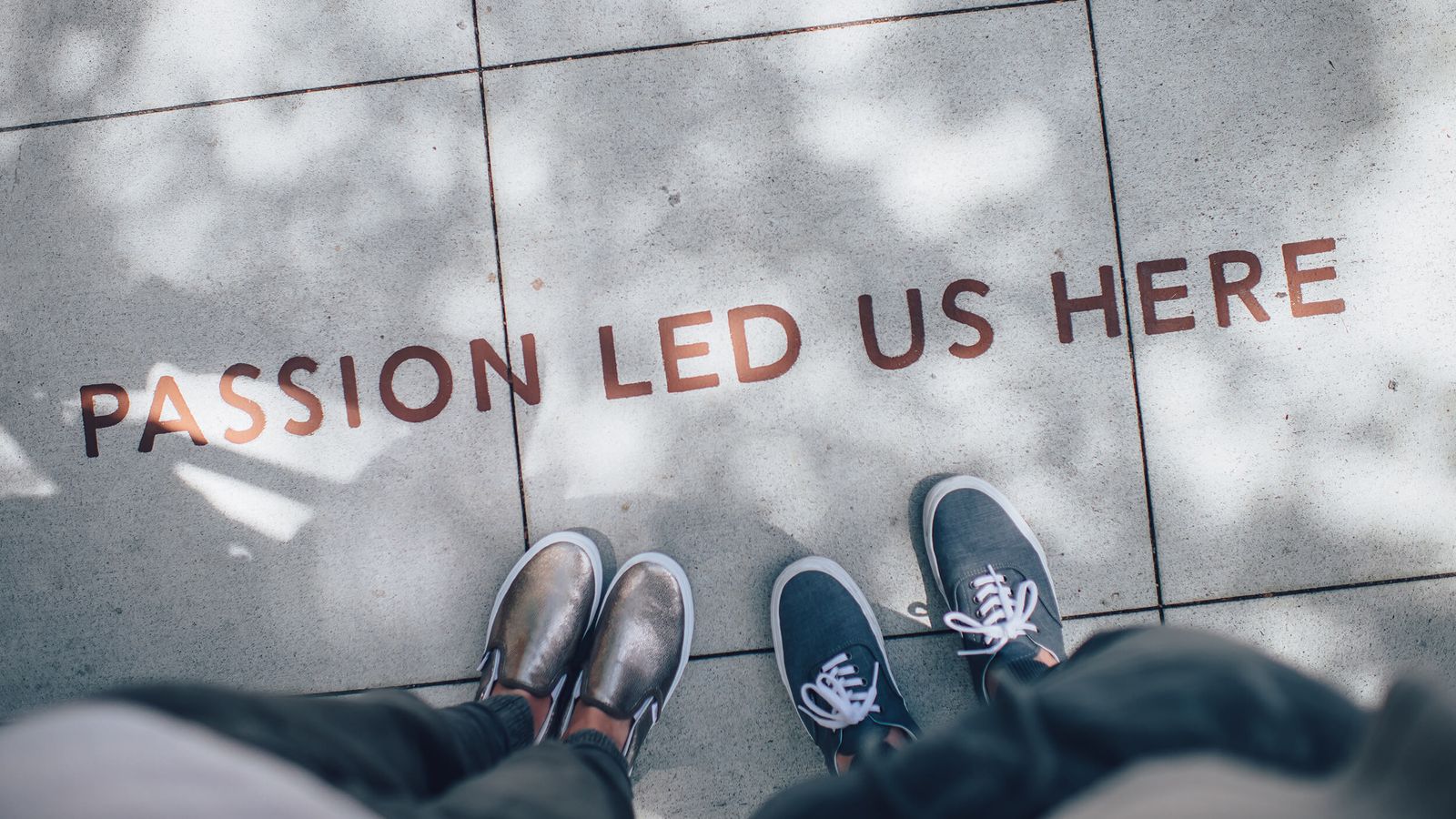 A purpose-led marketing communications agency – Taylor