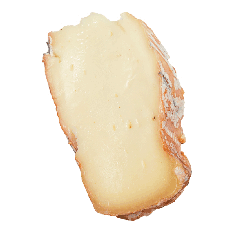 Casa Vostra | Italian Pizzas | Singapore