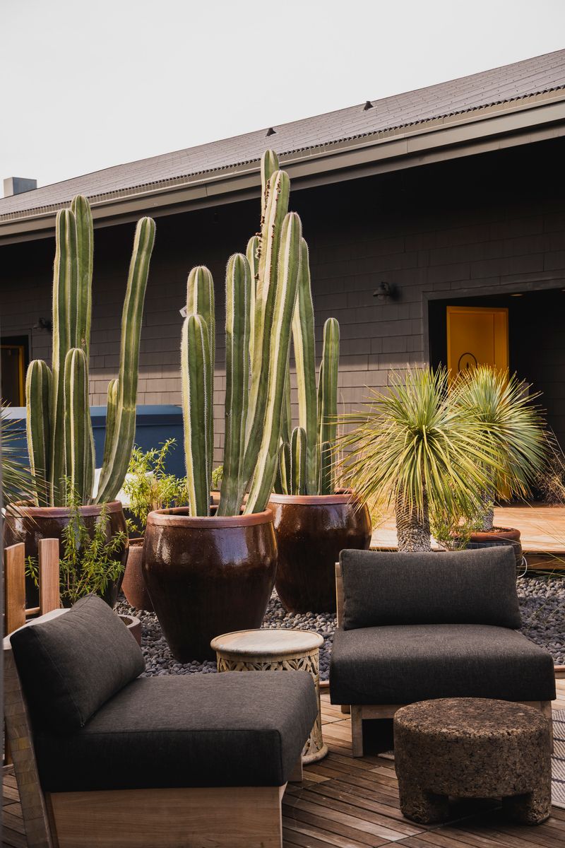 The Aster | Private Members Club Los Angeles