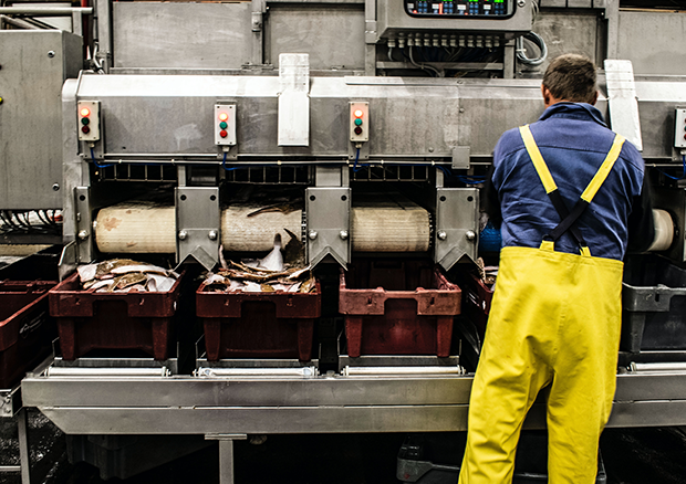 Unsafe habits and how they affect safety culture