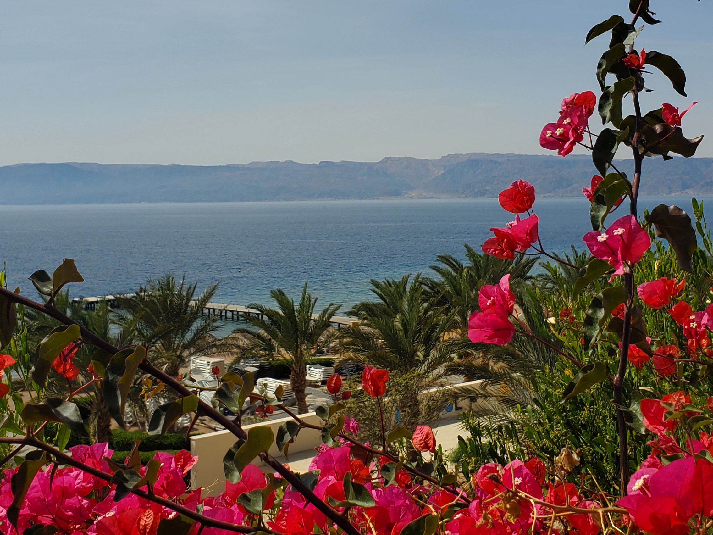 7 jours en Jordanie | Travel To Go