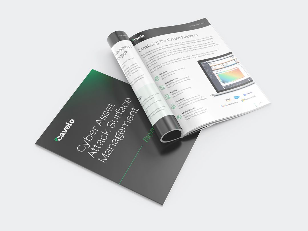 Cavelo | Data Discovery & Attack Surface Management