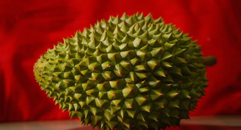 10 Health Benefits of Durian