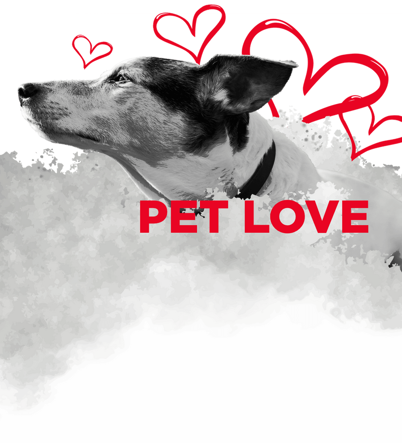 Ardmore Animal Shelter in Ardmore, Oklahoma