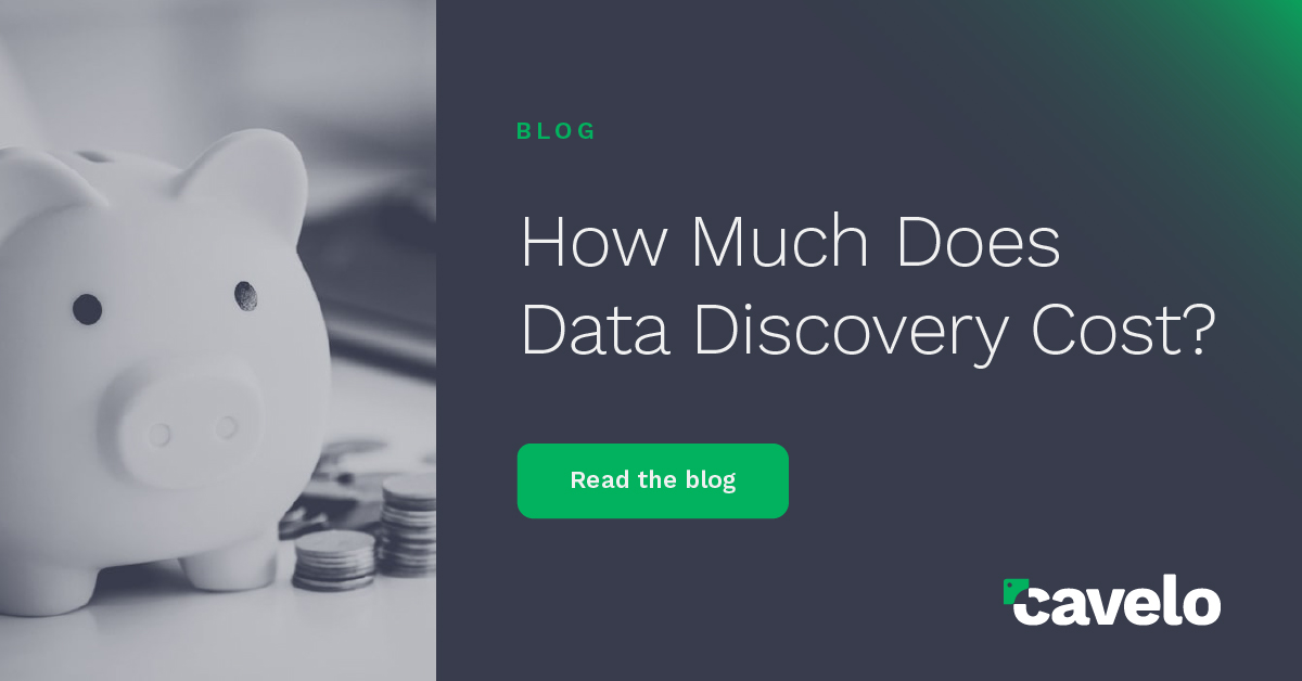 What is the Real Cost of a Data Discovery Platform