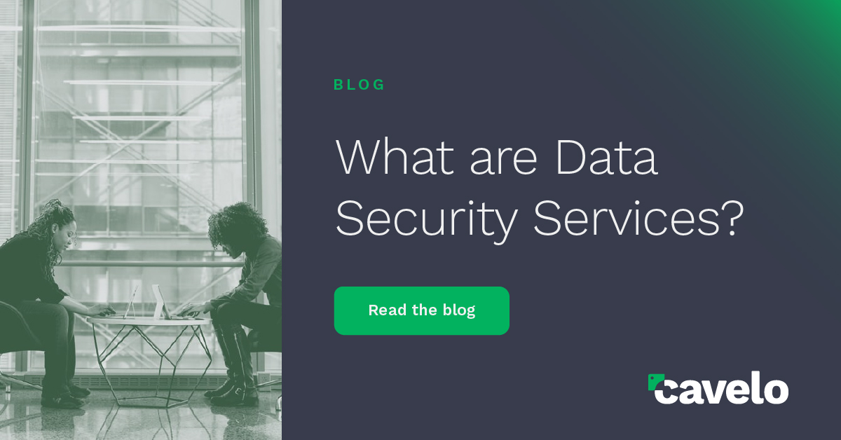 What Are Data Security Services and What's Included?