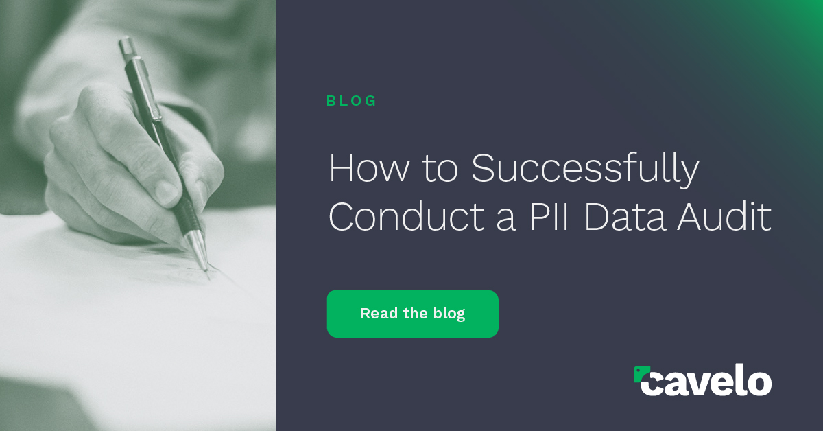 Your Guide to Successfully Conduct a PII Data Audit