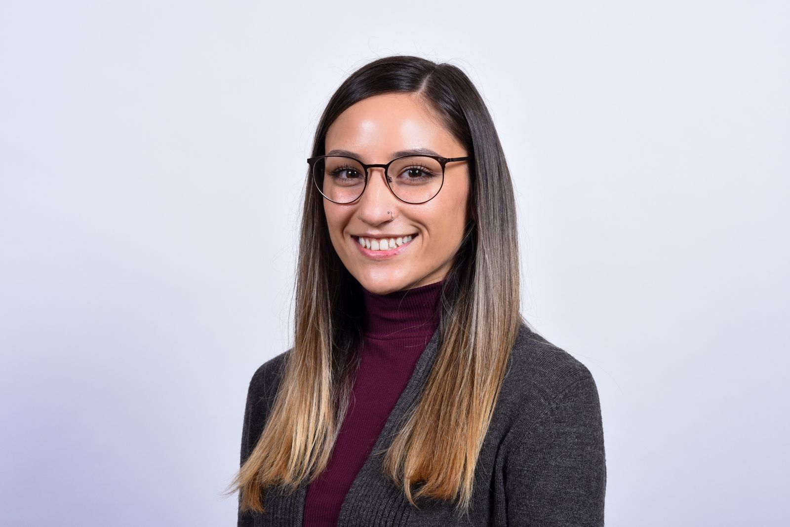 Illinois Prison Project — About