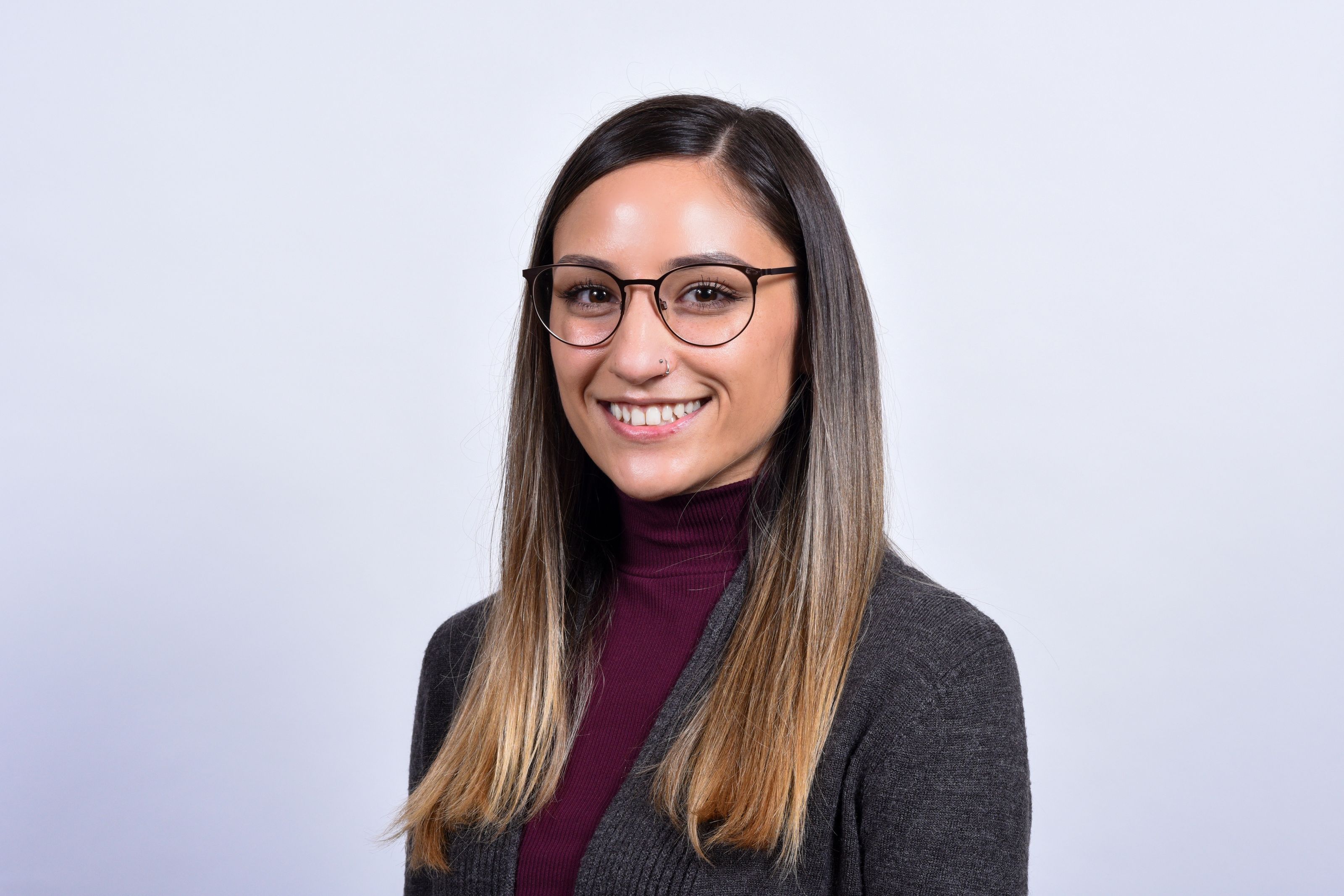 Illinois Prison Project — About