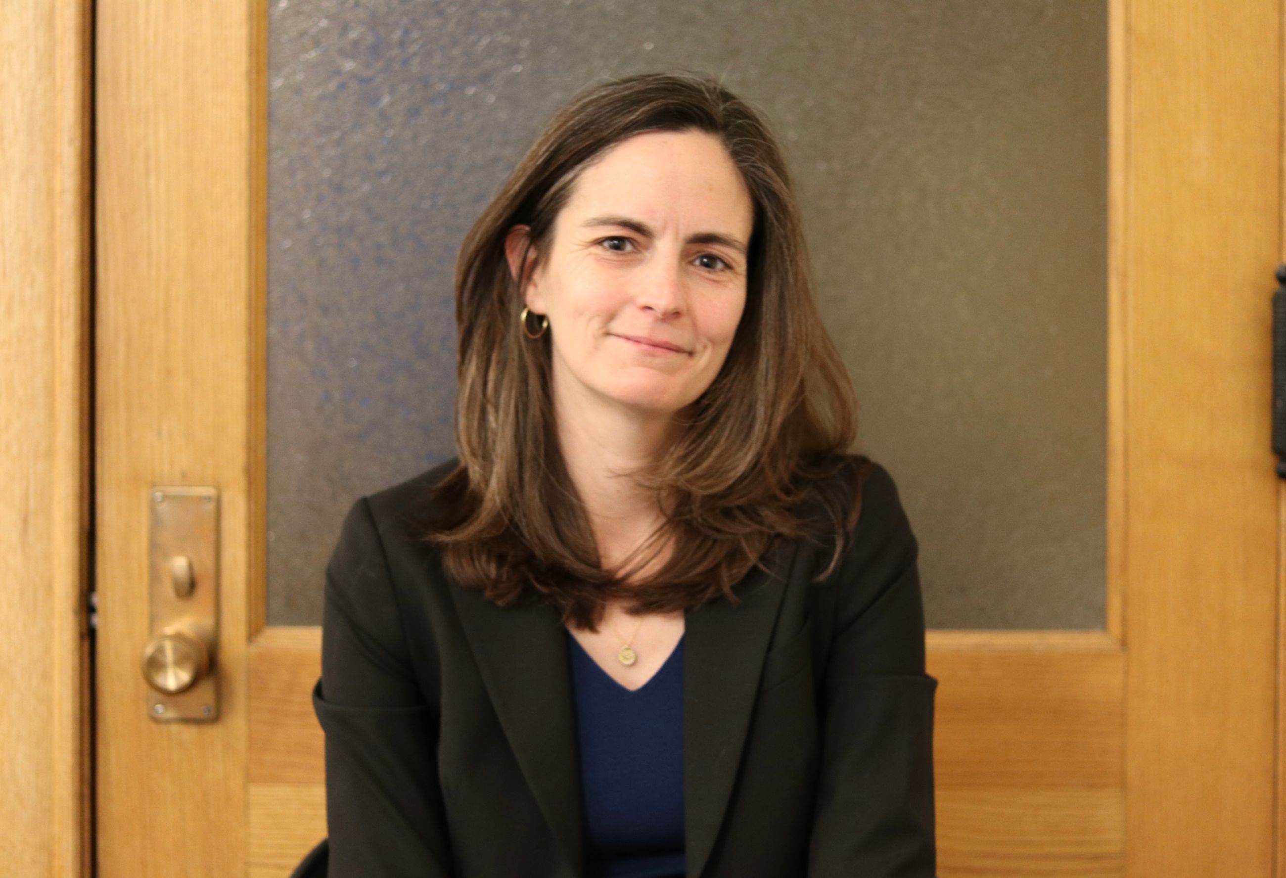 Illinois Prison Project — About