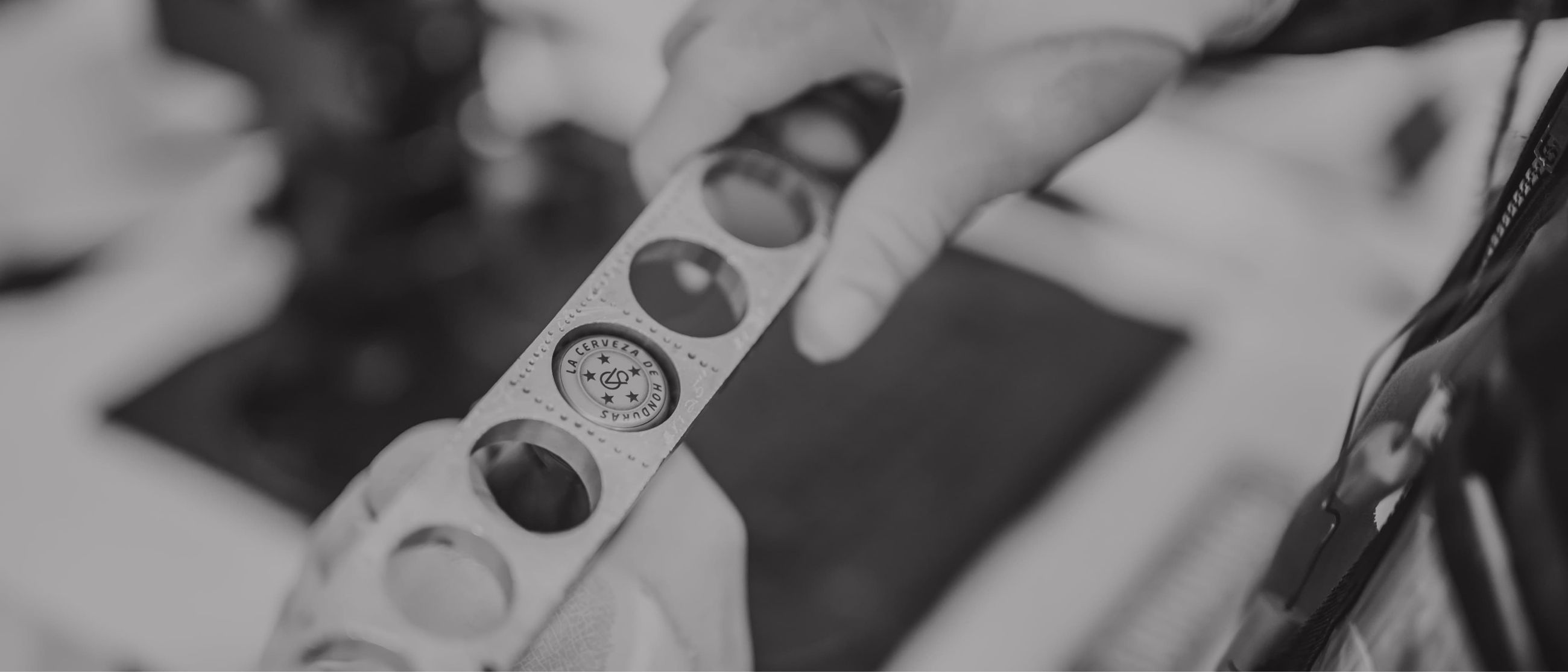 PLIHSA - Líderes en la fabricación de corcholatas y canasta plástica