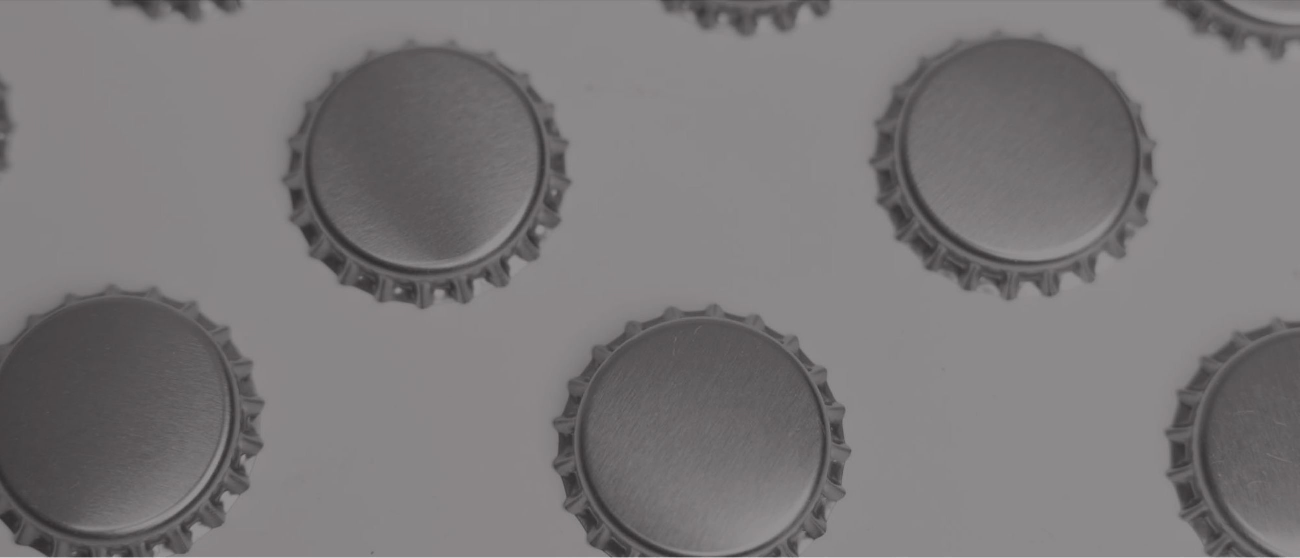 PLIHSA - Líderes en la fabricación de corcholatas y canasta plástica