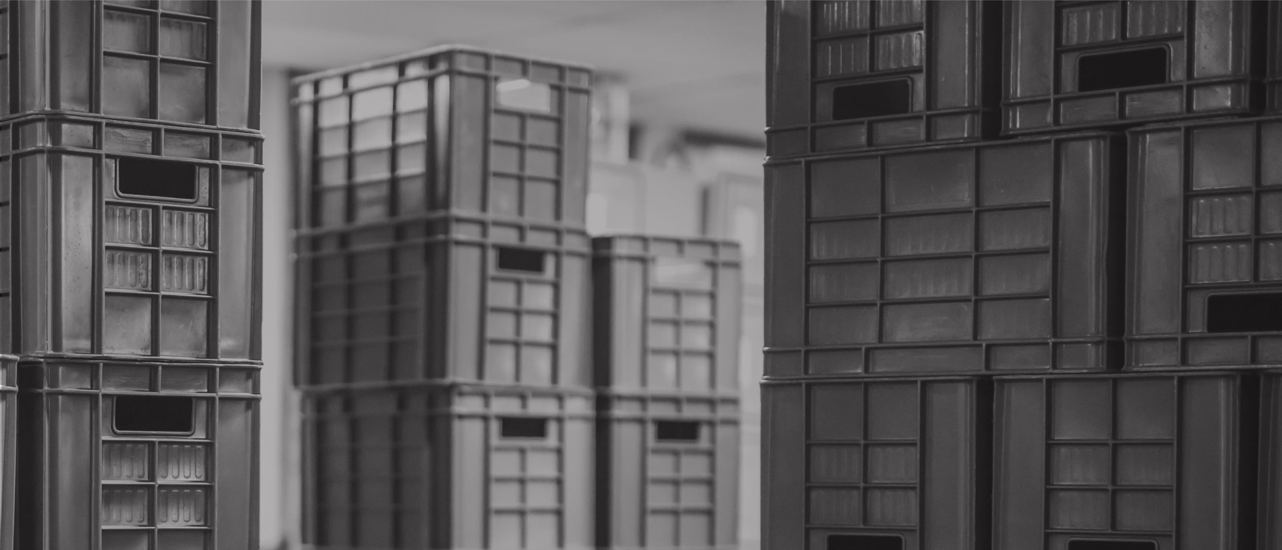 PLIHSA - Líderes en la fabricación de corcholatas y canasta plástica