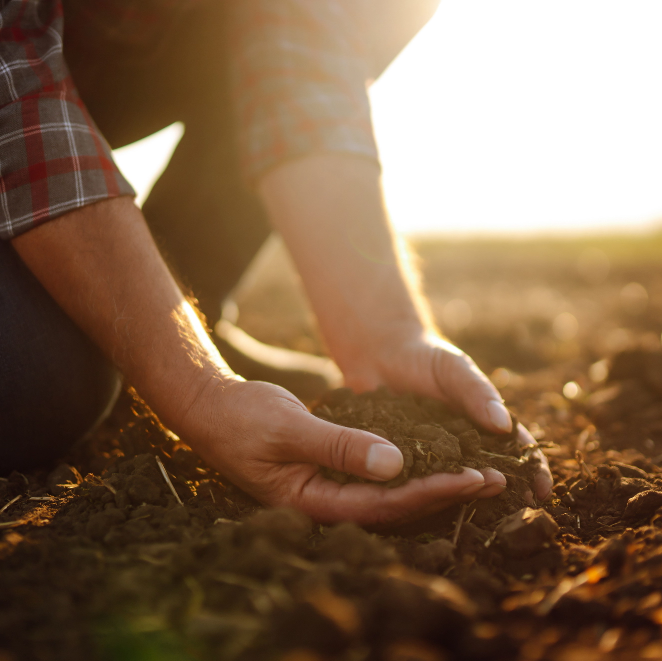 Wyuna | Regenerative Agriculture