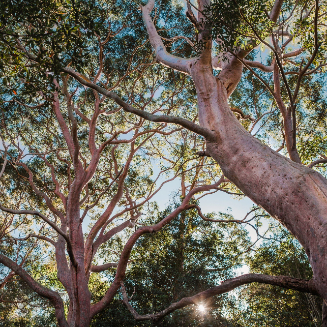 About | Wyuna | Regenerative Agriculture