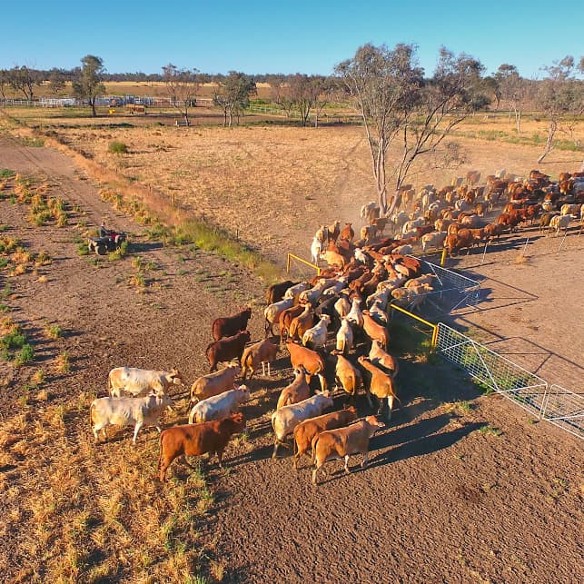 About | Wyuna | Regenerative Agriculture