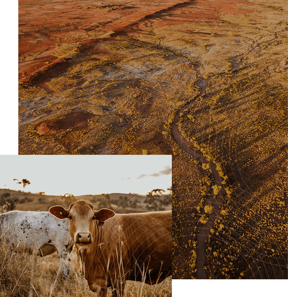 Wyuna | Regenerative Agriculture