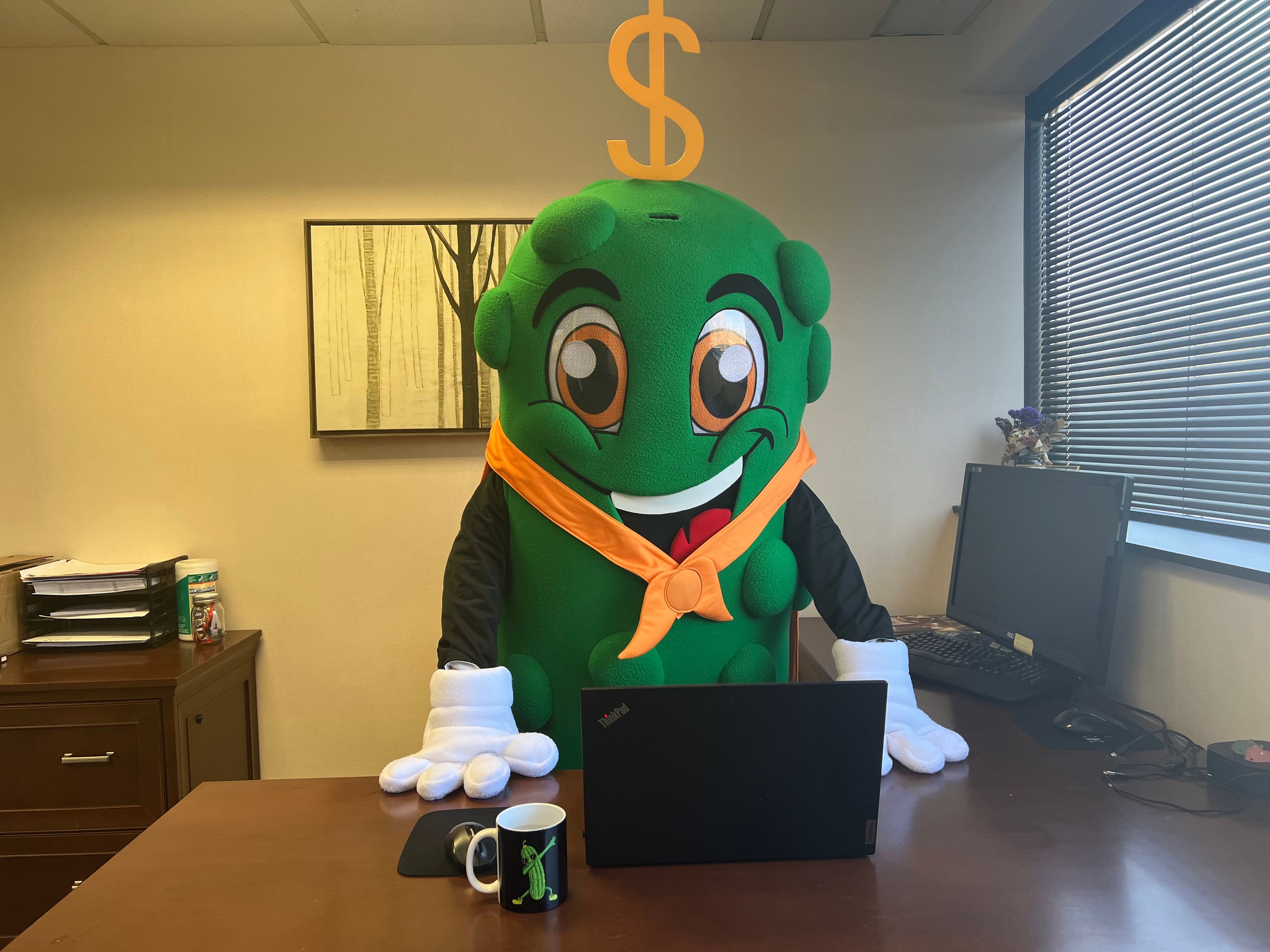 Money Pickle | Online Video Financial Coaching