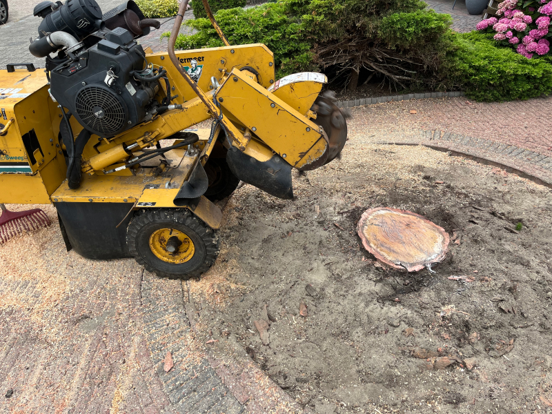 Stobben frezen | Kester Boomverzorging