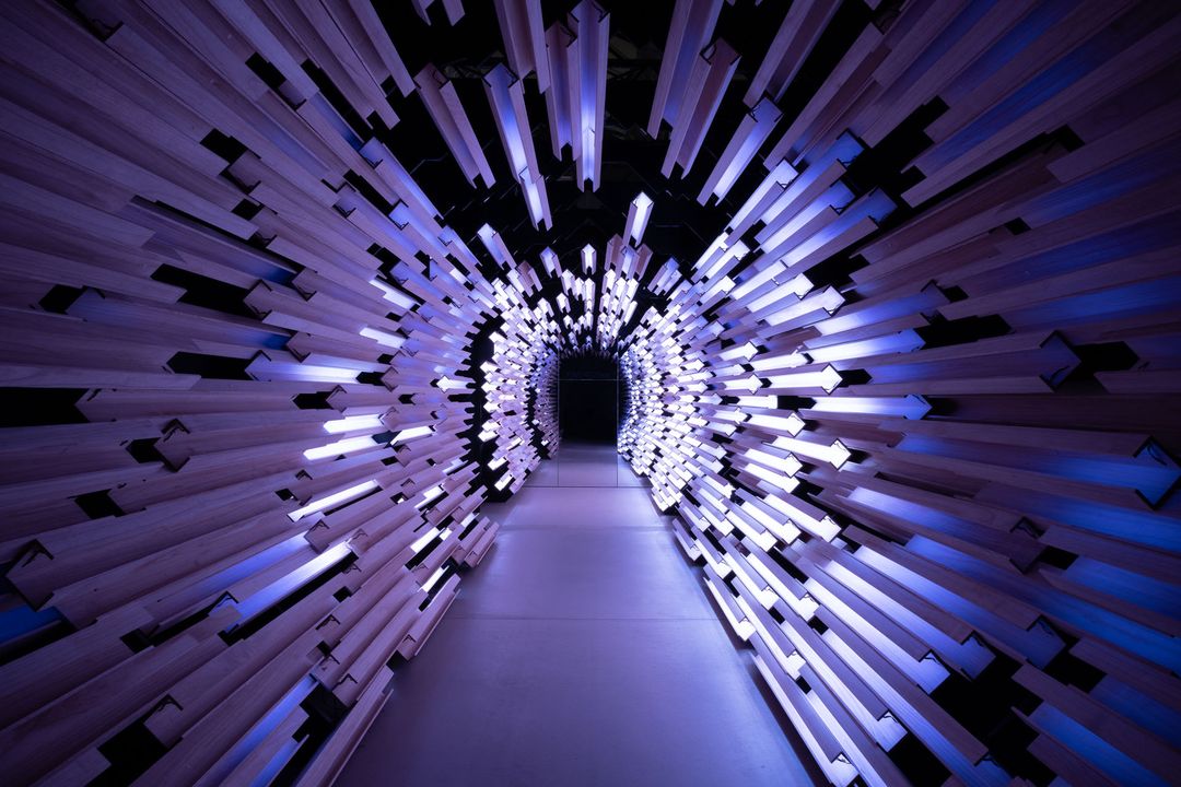 WOW 25th Anniversary Exhibition “Unlearning the Visuals“ - TOP | WOW