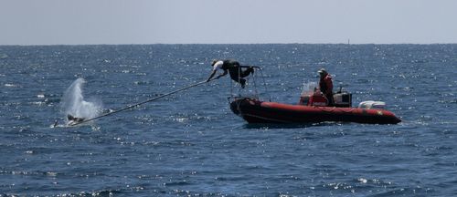 Our Partners - Earth Species Project