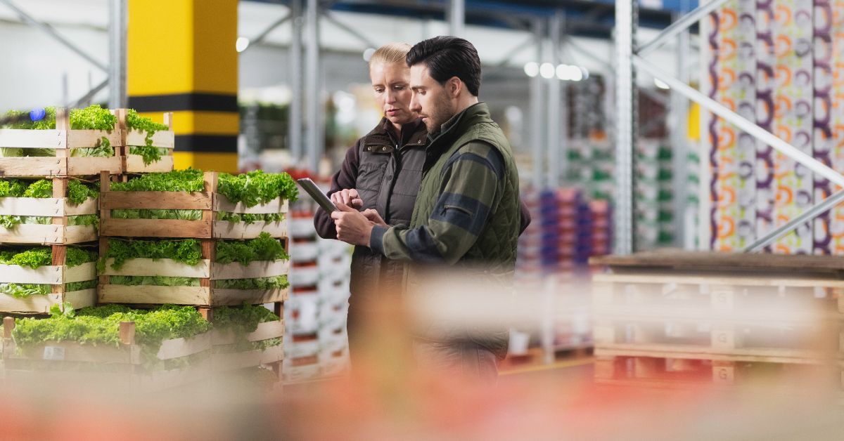 How to avoid over-investing in the wrong wholesale ordering software