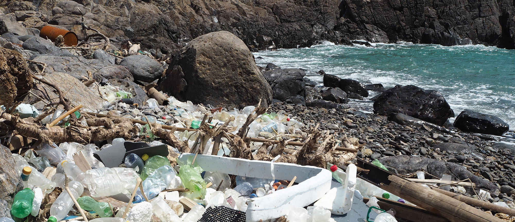 Coastal Clean Up Actions