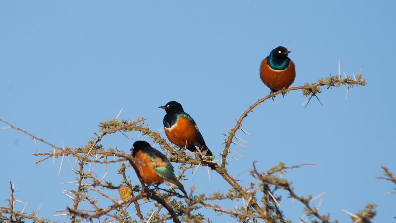 Finding the signal in the noise: How machine learning can help us ...