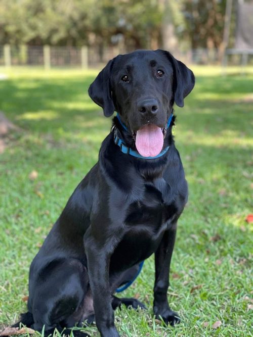 Home [www.gdlrr.org]