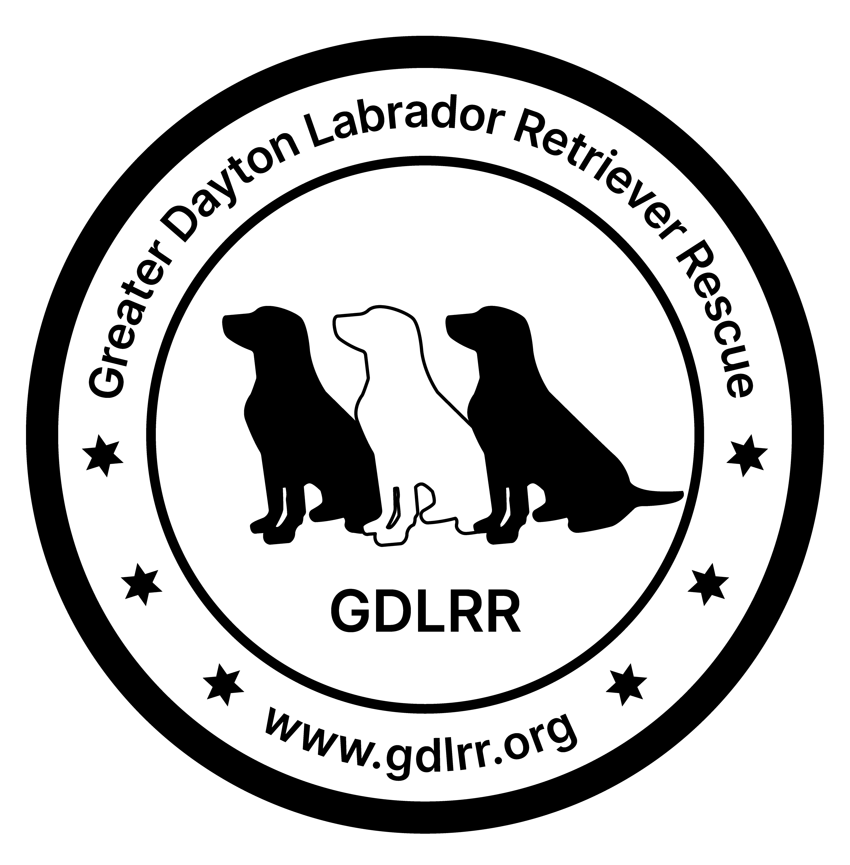 Labrador Retrievers in Dayton Ohio