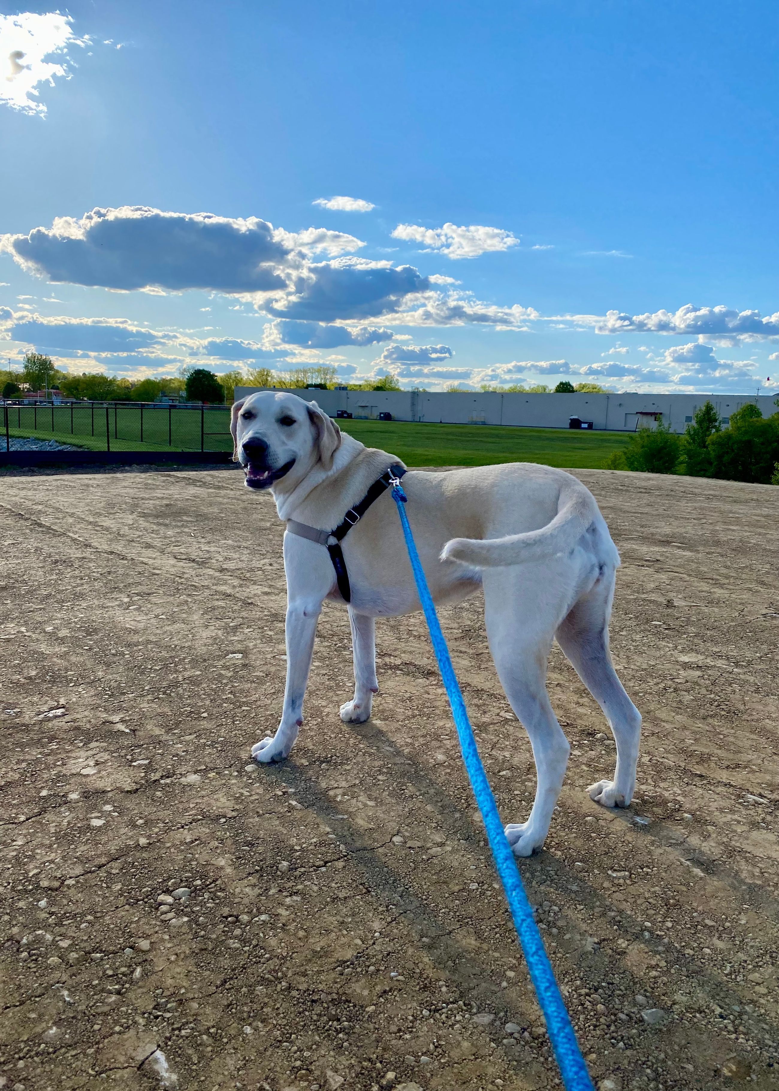 Home [www.gdlrr.org]