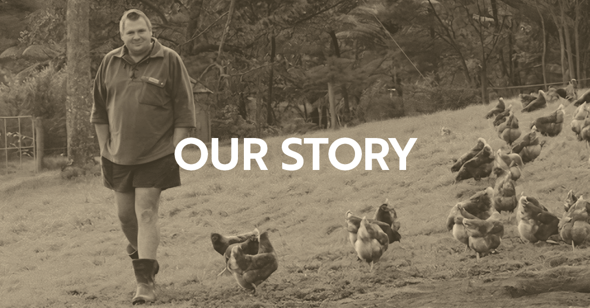 Kaimai Eggs | Our Story