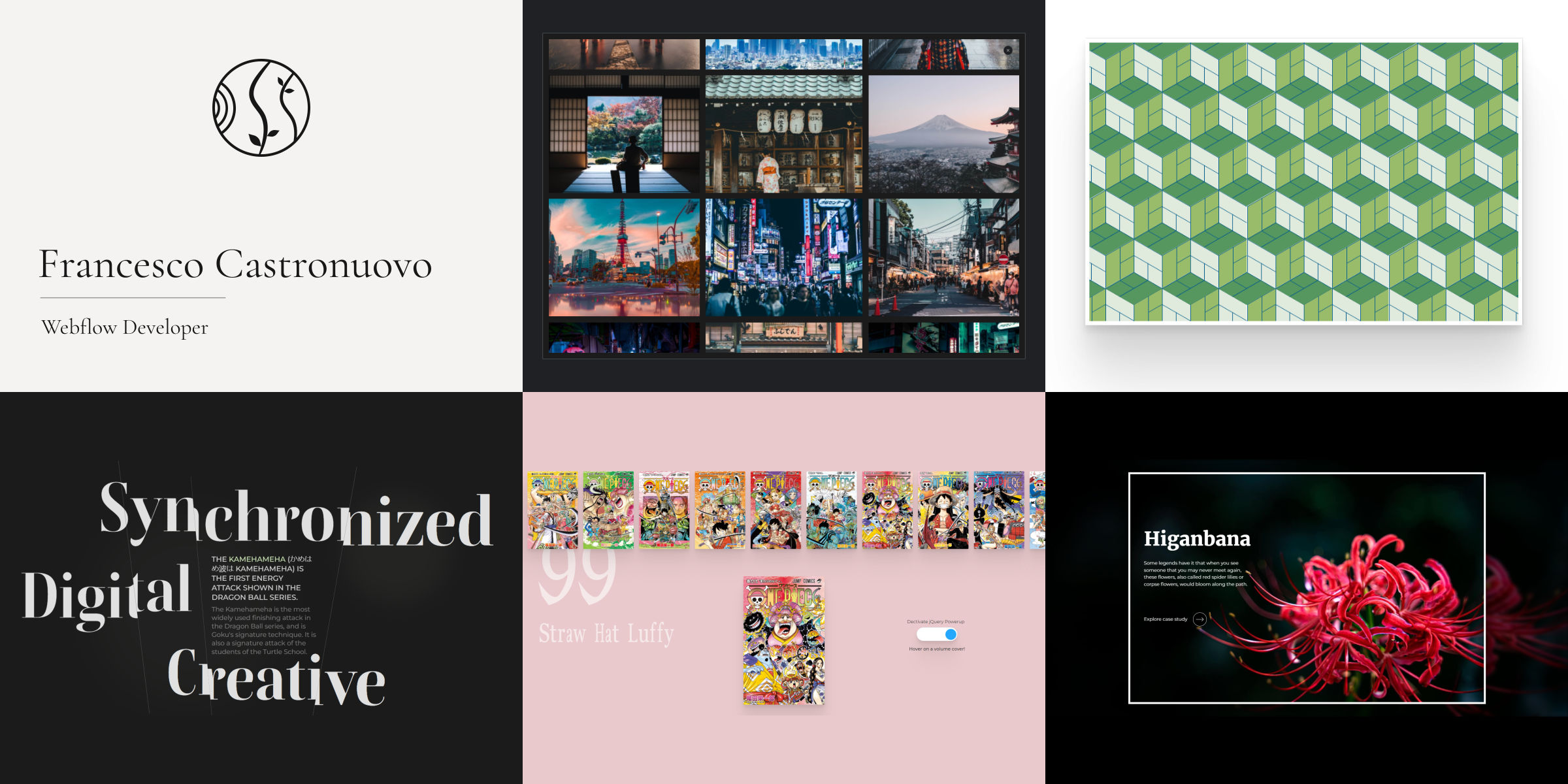 Francesco Castronuovo - Webflow Workspace - Webflow