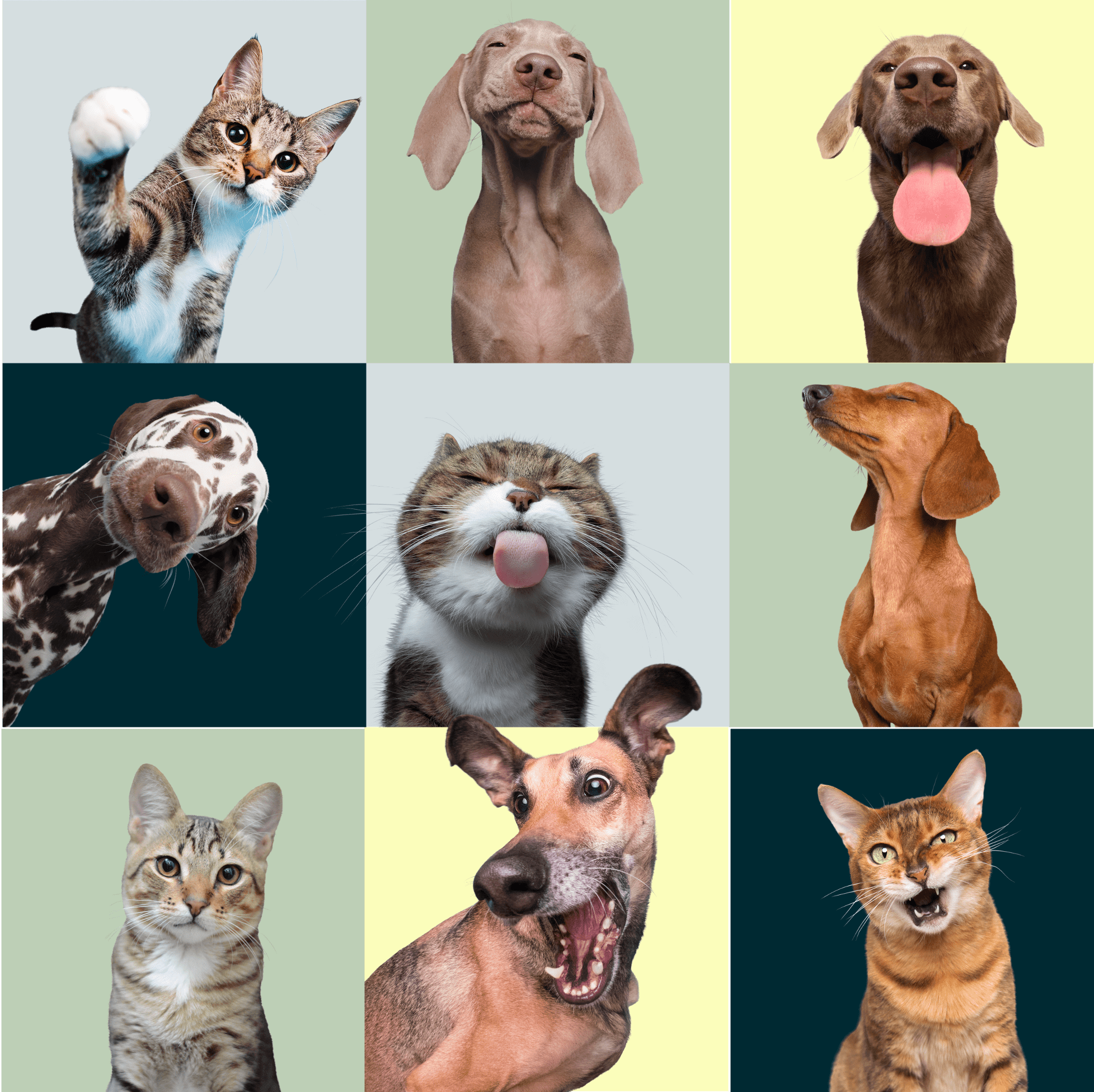 B2B Versicherung | Calingo Insurance AG | Zürich