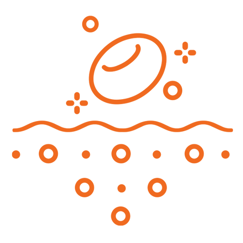 Trautec US - The most compatible synthetic recombinant human collagen SRHC