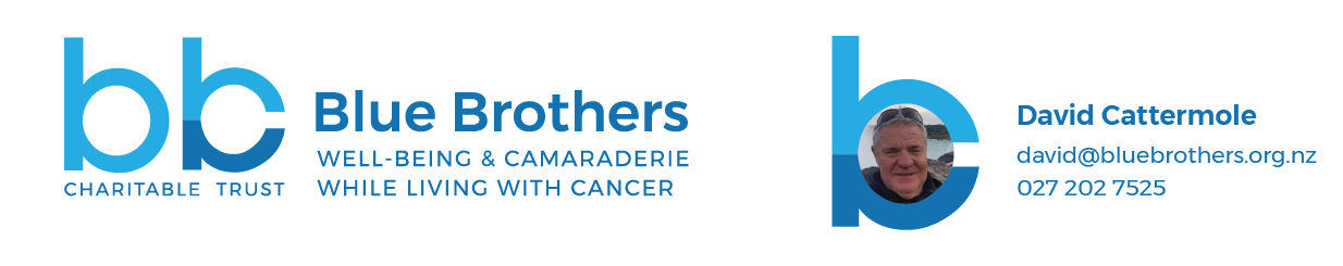 Contact - Blue Brothers - David Cattermole