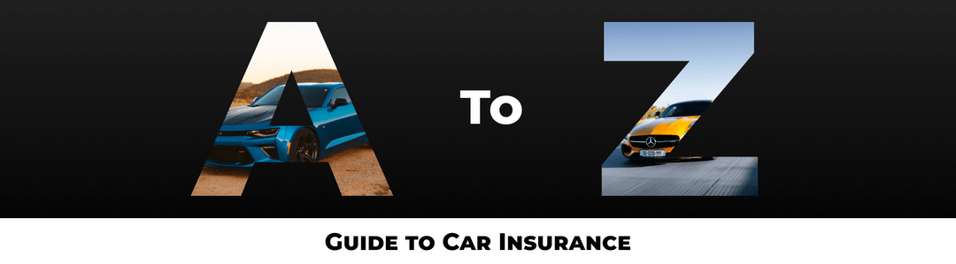 A Complete A-Z Pineapple Guide on All Things Comprehensive Car ...