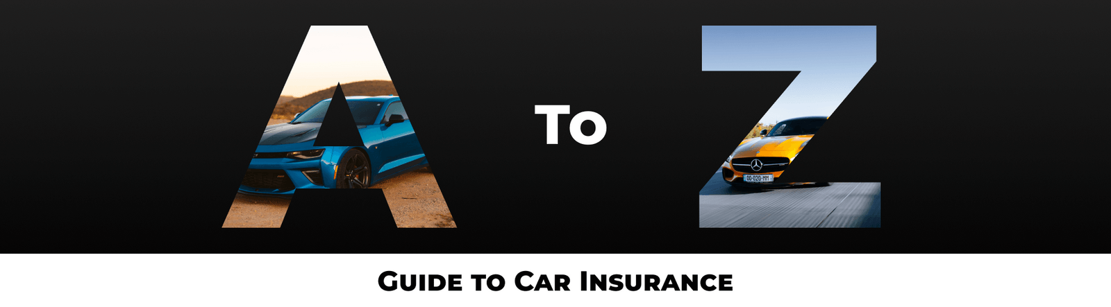 A Complete A-Z Pineapple Guide on All Things Comprehensive Car ...