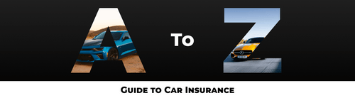 A Complete A-Z Pineapple Guide on All Things Comprehensive Car ...