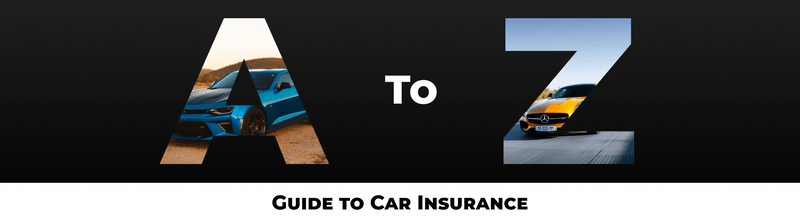 A Complete A-Z Pineapple Guide on All Things Comprehensive Car ...